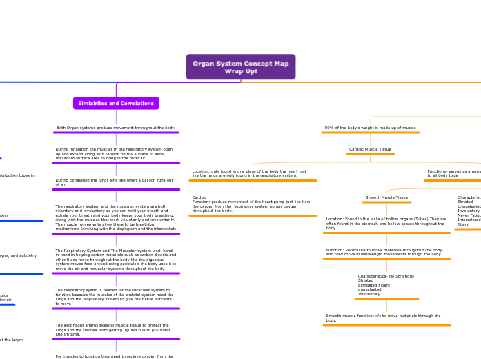 Organ System Concept Map Wra Mind Map 0802